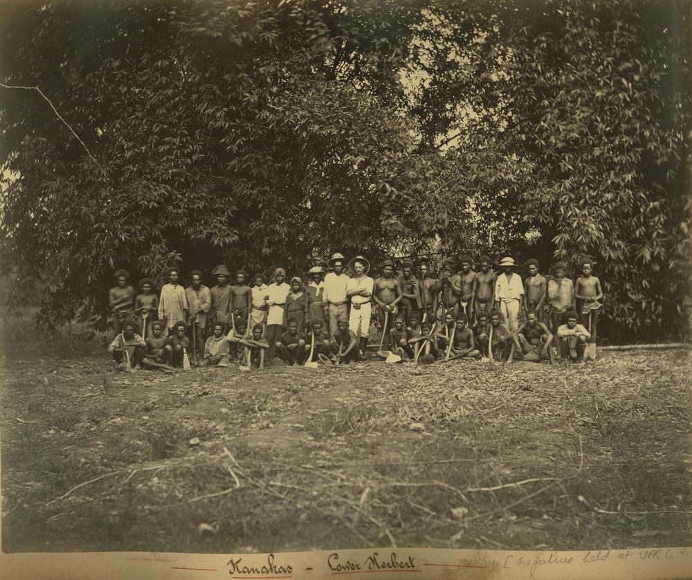 South Sea Islanders, Lower Herbert, c1890 | Queensland Historical Atlas