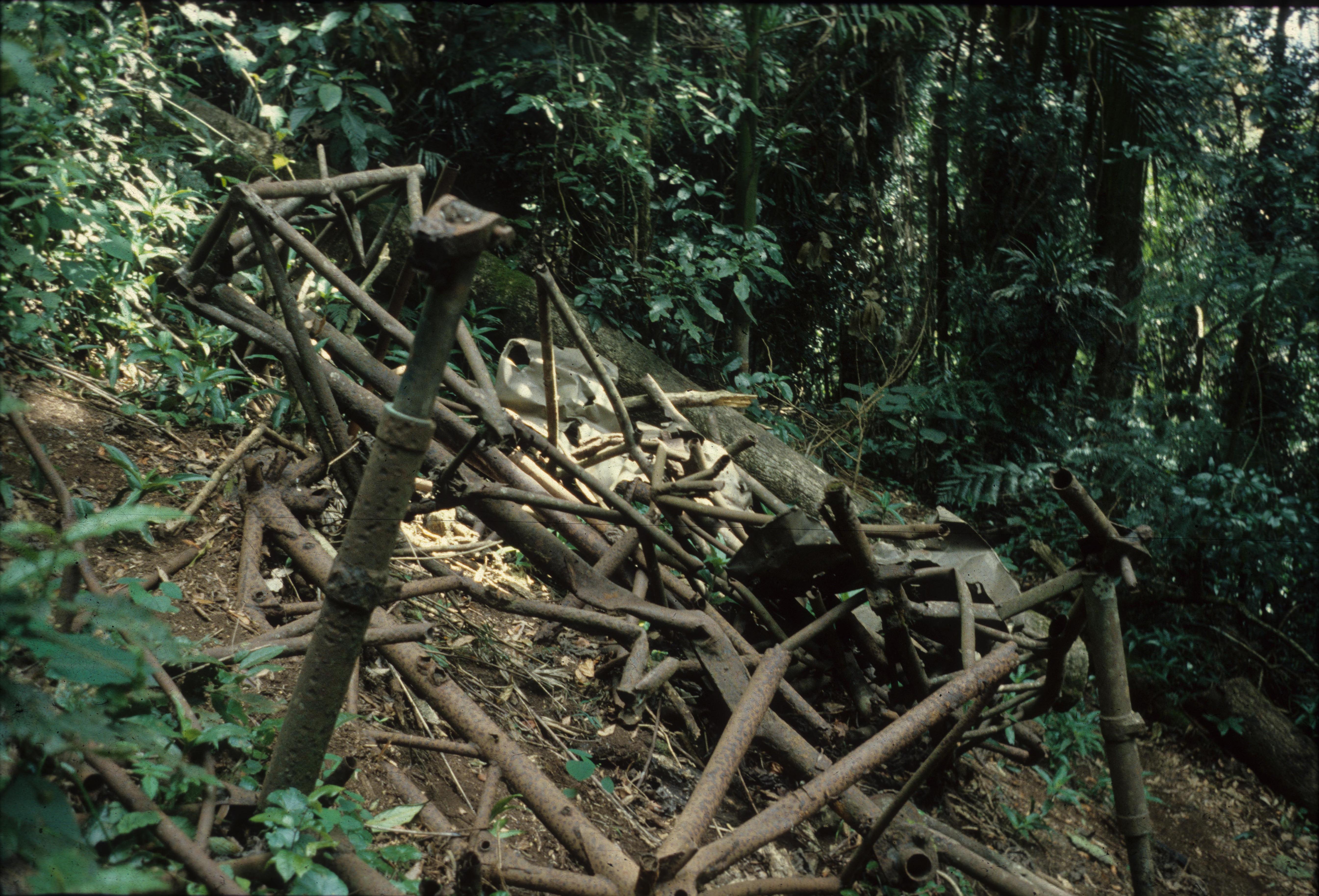Remains of the 1937 Stinson airplane crash, Lamington National Park ...