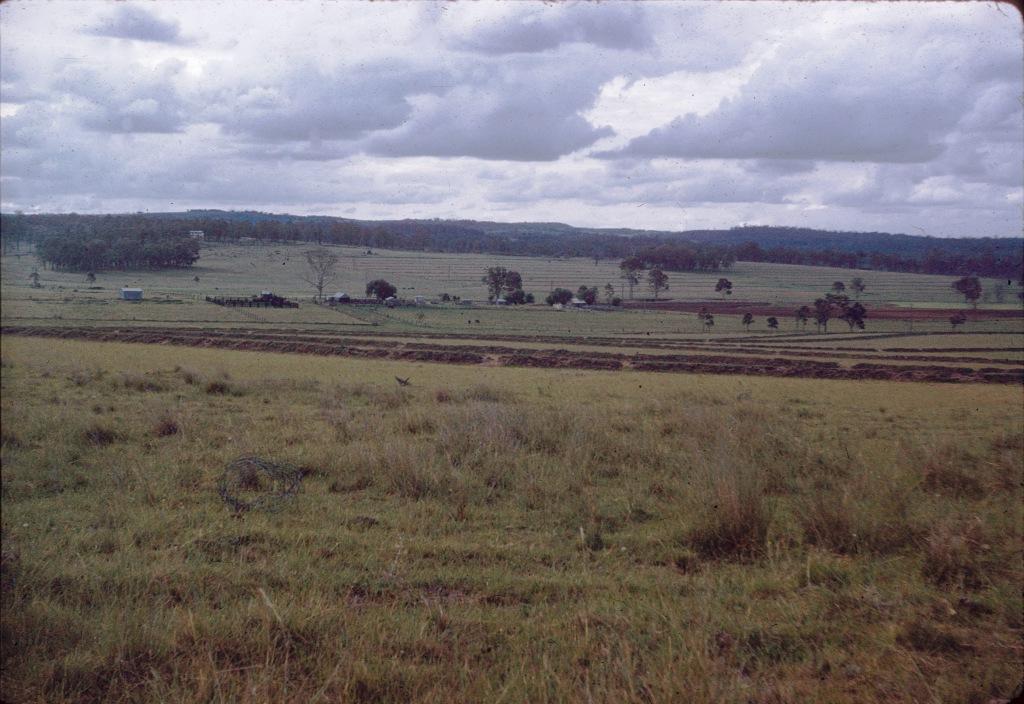 Contour farming, Durong, 1958 | Queensland Historical Atlas
