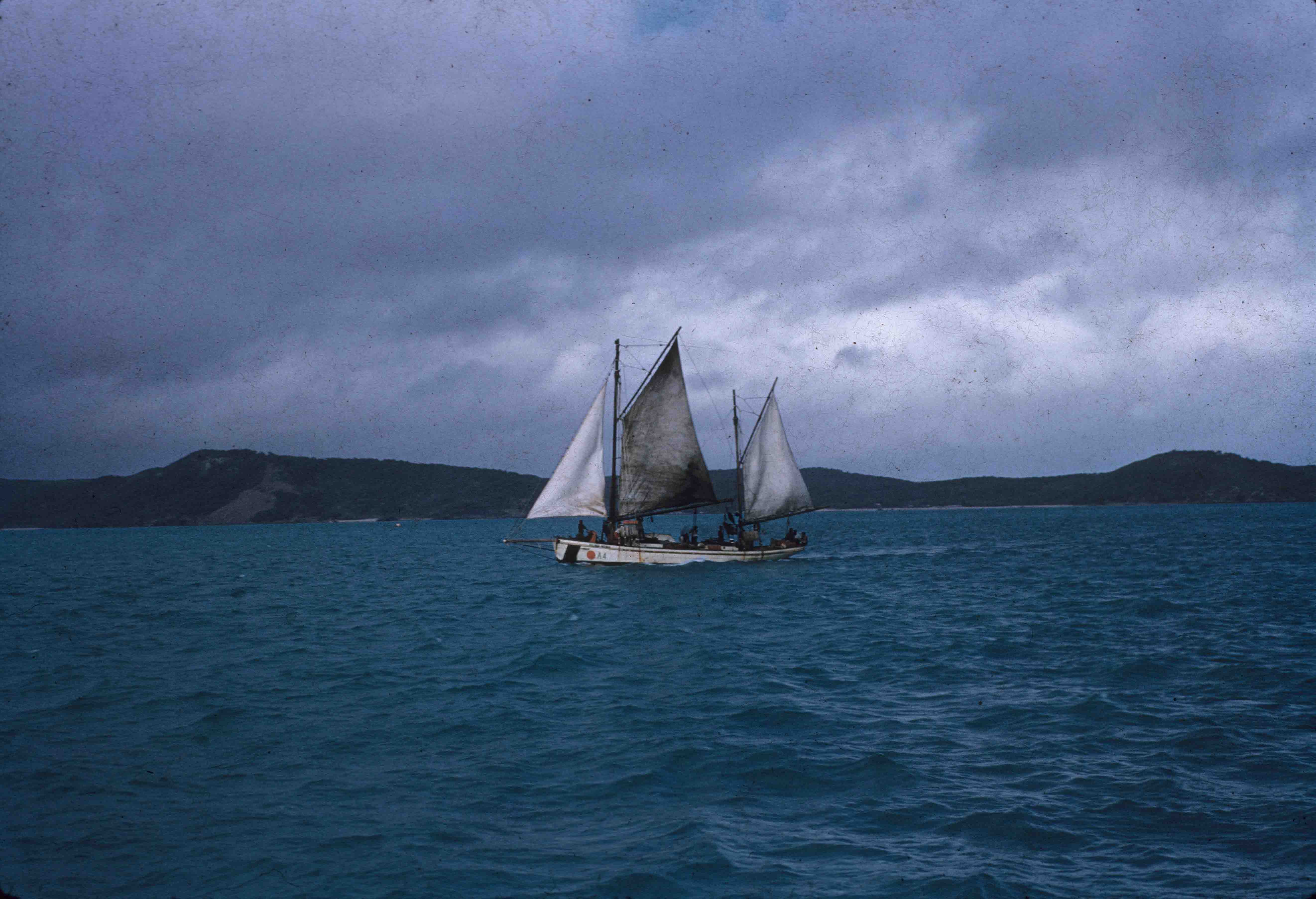 Pearling luggers, Thursday Island, 1959 | Queensland Historical Atlas