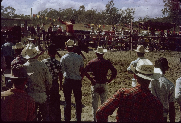 Hervey Range rodeo, Thuringowa, 1965 | Queensland Historical Atlas