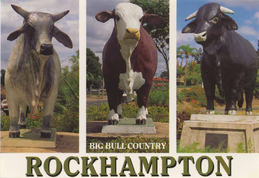 Big bull country, Rockhampton, c1988 | Queensland Historical Atlas