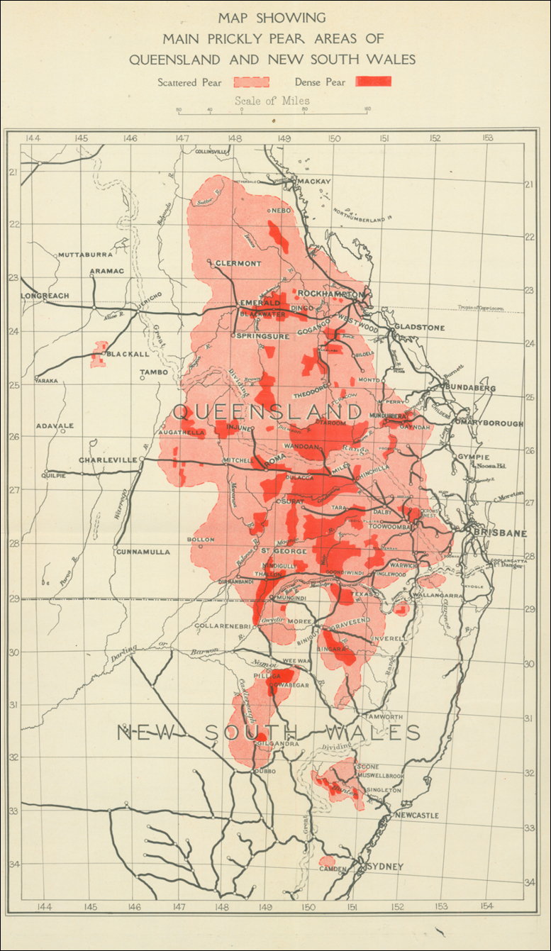 Prickly pear, 1925 | Queensland Historical Atlas