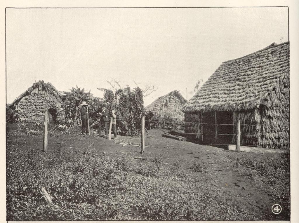South Sea Islander huts, Childers, 1904 | Queensland Historical Atlas