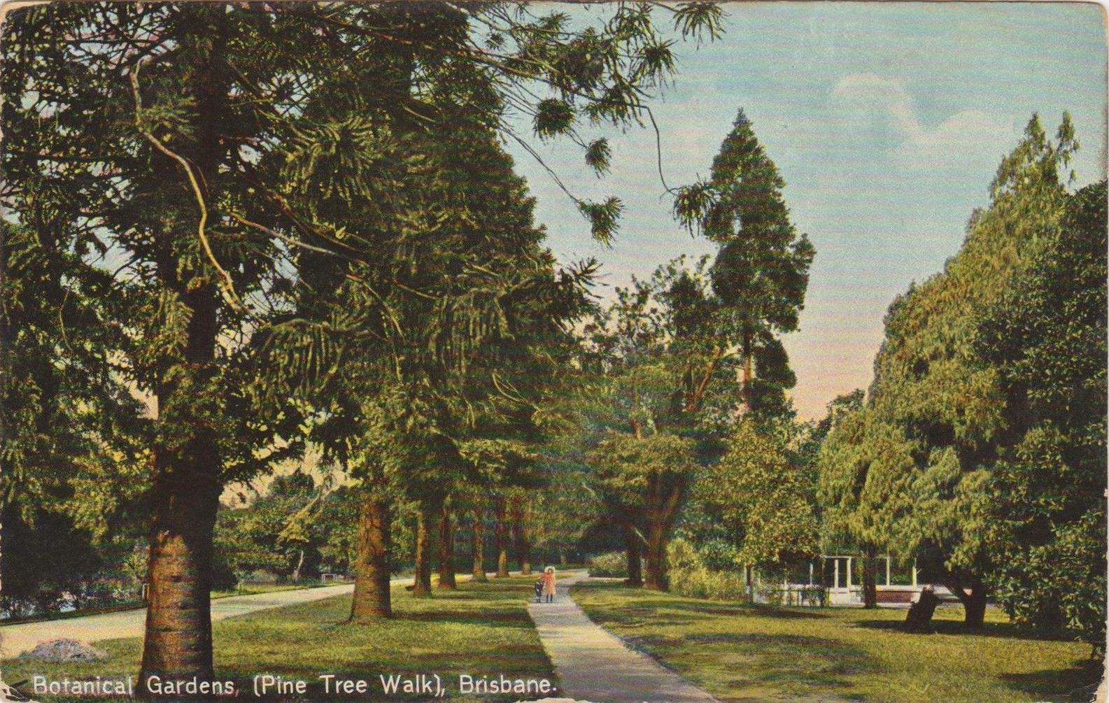 Brisbane Botanic Gardens | Queensland Historical Atlas