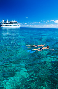 Tourists from the Coral Princess snorkelling at Nathan Reef, 2005 ...
